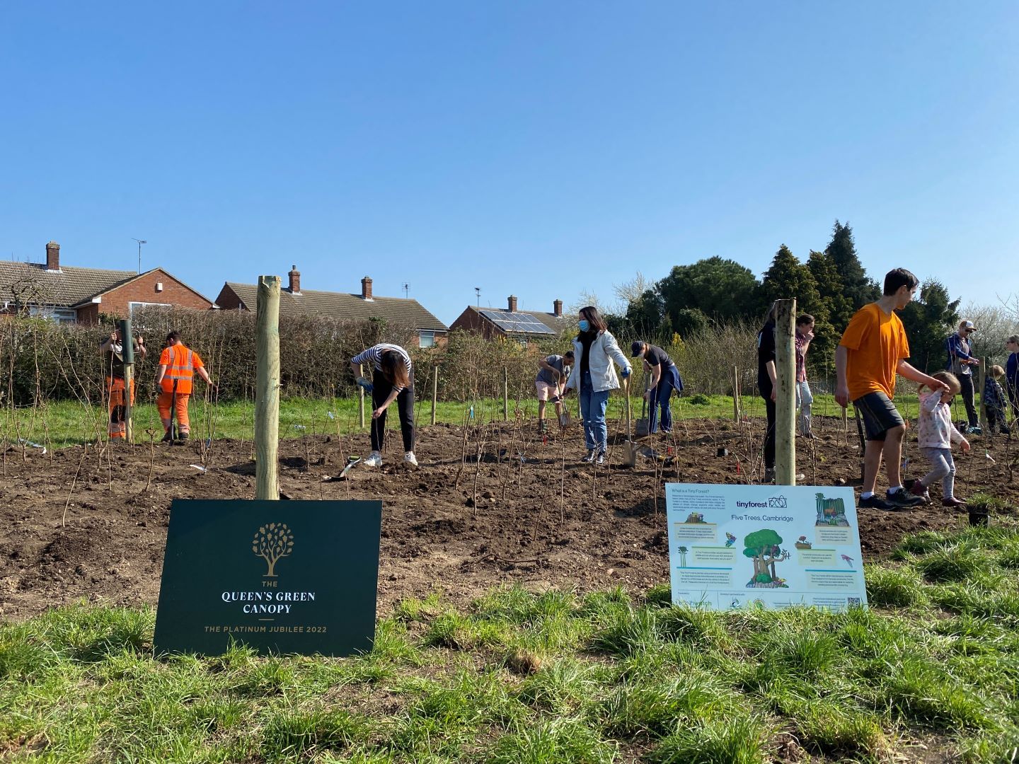 Five Trees, Cambridge